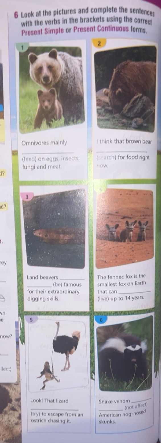 Resuelto:Look at the pictures and complete the sentences with the verbs ...