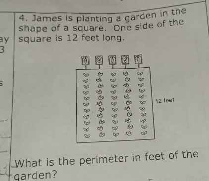 Solved: James is planting a garden in the shape of a square. One side ...