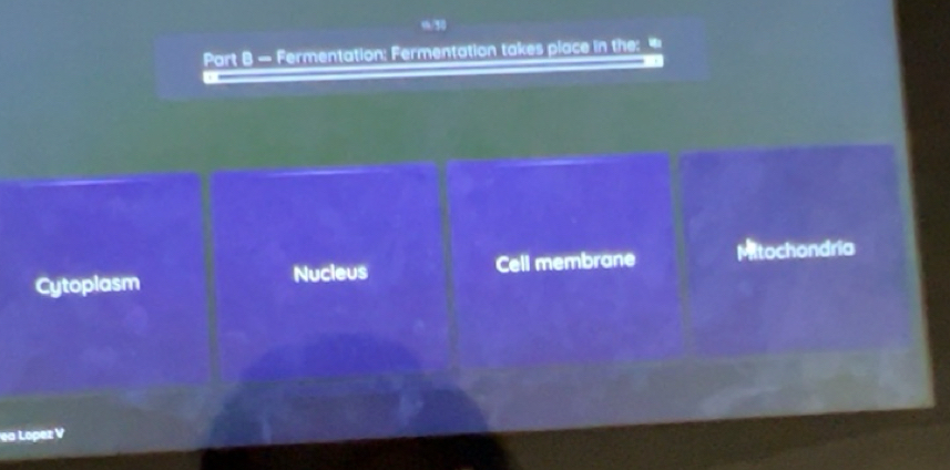 Solved: 930 Part B — Fermentation: Fermentation takes place in the ...