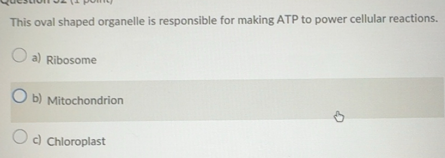 Solved: This oval shaped organelle is responsible for making ATP to ...