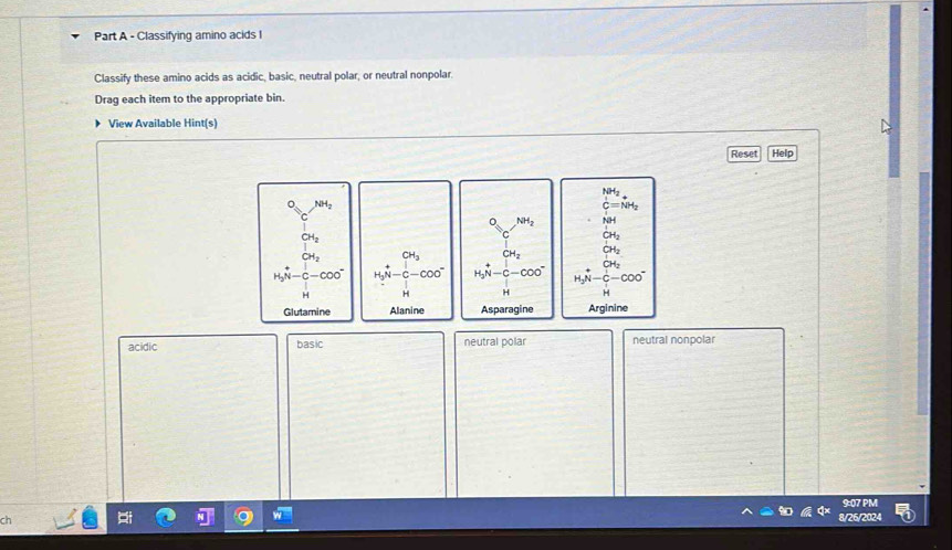 Solved: Classifying amino acids I Classify these amino acids as acidic, basic, neutral polar, or ...