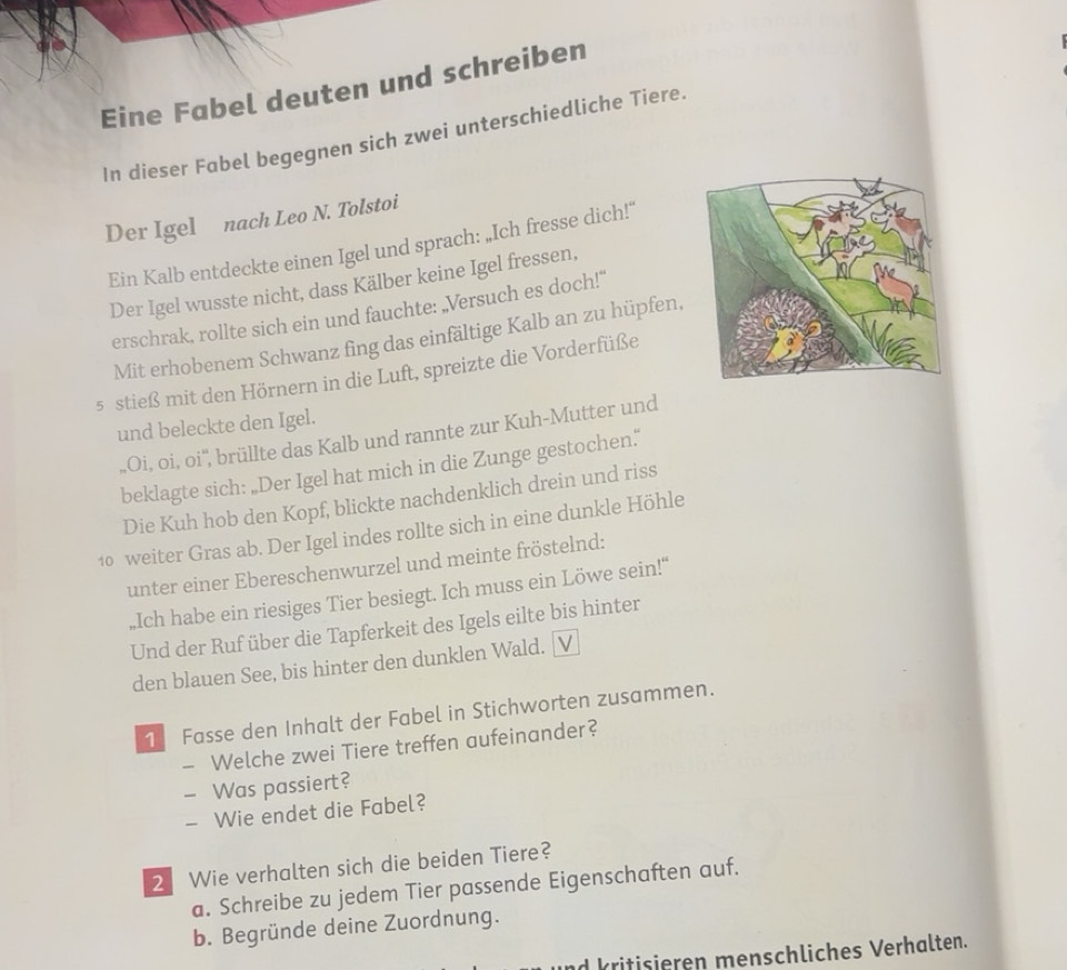 Gelöst:Eine Fabel deuten und schreiben In dieser Fabel begegnen sich ...