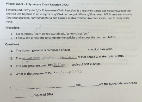 Solved: Virtual Lab 3 - Polymerase Chain Reaction (PCR) Background: PCR ...