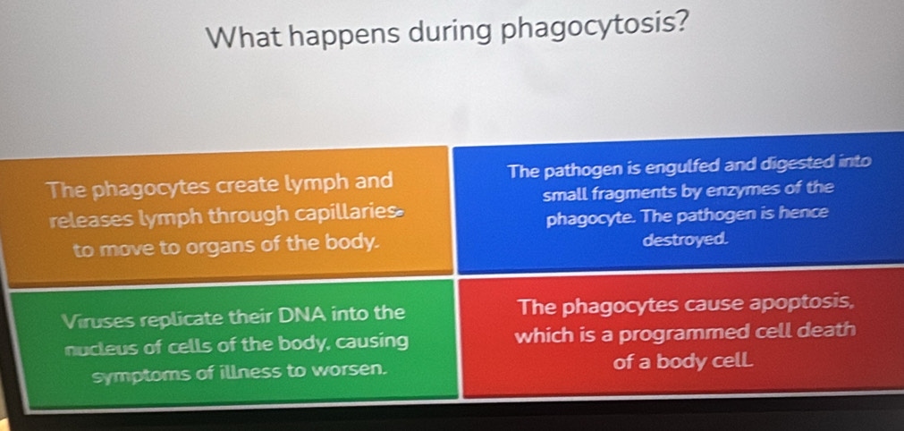 Solved: What happens during phagocytosis? The phagocytes create lymph ...