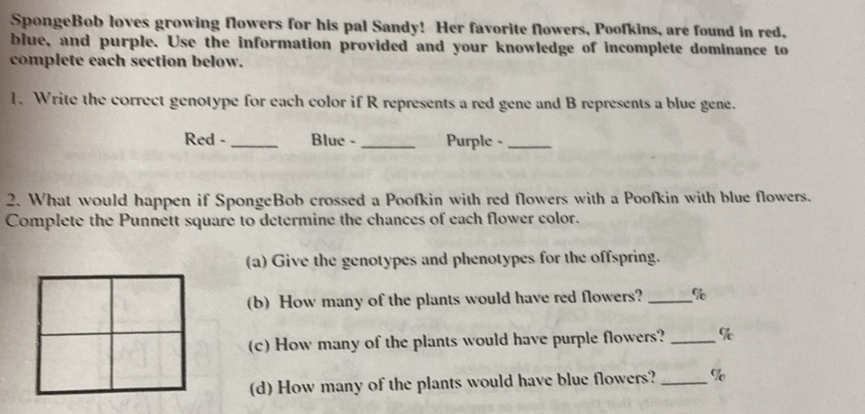 Solved: SpongeBob loves growing flowers for his pal Sandy! Her favorite ...