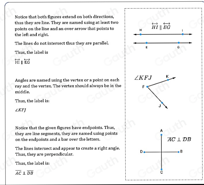 Solved: Drag each label to the correct location on the image. Not all labels will be used. Match ...
