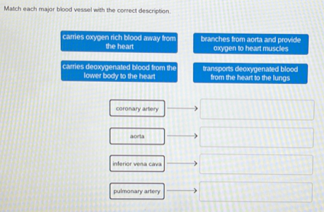 Solved: Match each major blood vessel with the correct description. carries oxygen rich blood ...