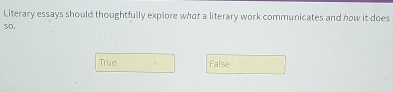 Literary essays should thoughtfully explore what a literary work ...