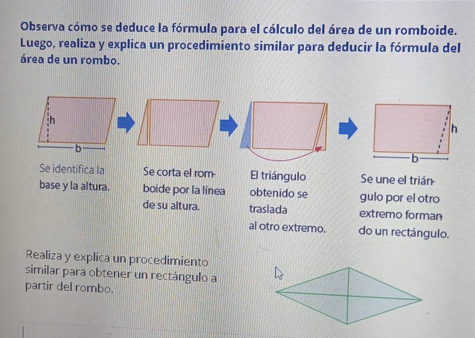 Resuelto:Observa cómo se deduce la fórmula para el cálculo del área de ...