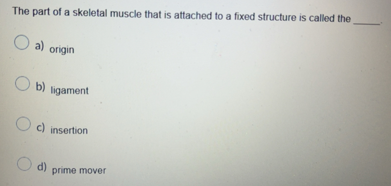 Solved: The part of a skeletal muscle that is attached to a fixed ...
