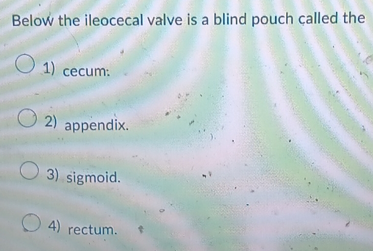 Solved: Below the ileocecal valve is a blind pouch called the 1) cecum ...