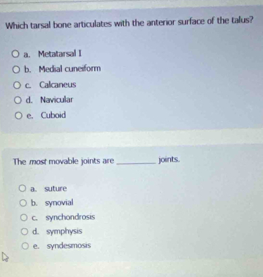 Solved: Which tarsal bone articulates with the anterior surface of the ...