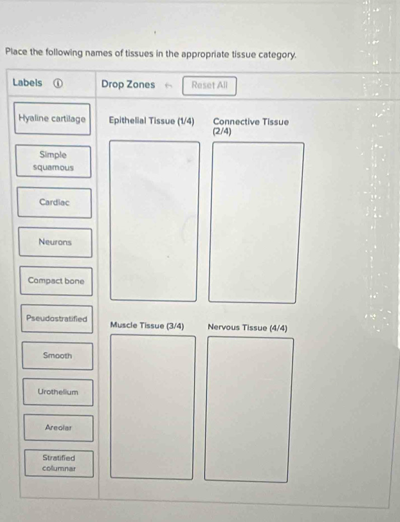 Solved: Place the following names of tissues in the appropriate tissue ...