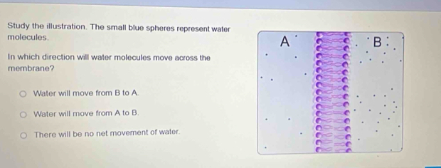 Solved: Study the illustration. The small blue spheres represent water ...