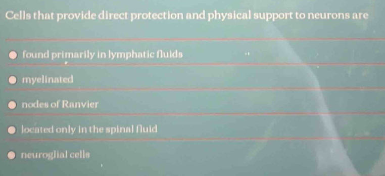 Solved: Cells that provide direct protection and physical support to ...
