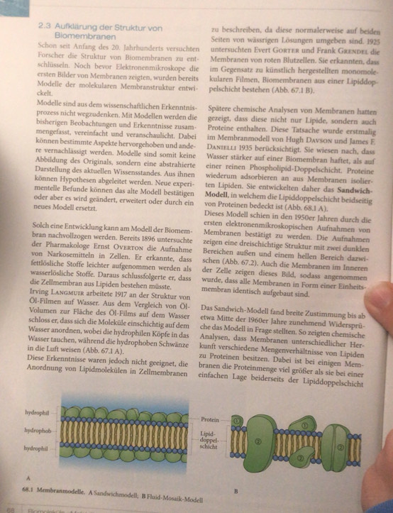 Gelöst:2.3 Aufklärung der Struktur von zu beschreiben, da diese ...