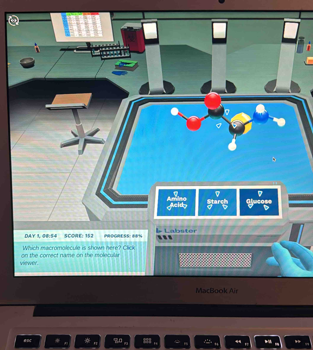 Solved: Amino Starch Glucose Acid Labster DAY 1, 08:54 SCORE: 152 ...