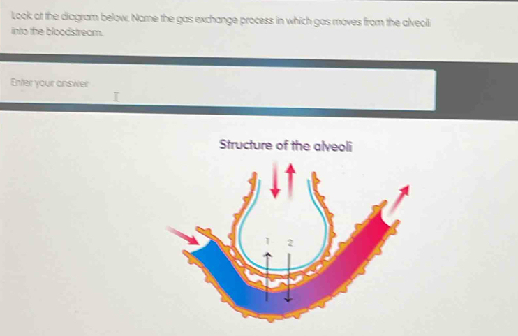 Solved: Look at the diagram below. Name the gas exchange process in ...