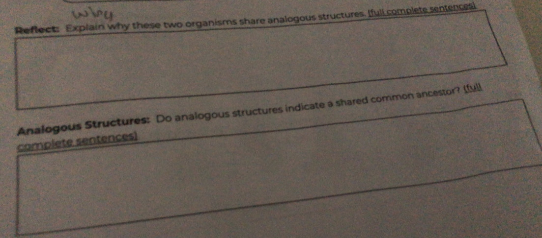 Résolu :Reffect: Explain why these two organisms share analogous ...