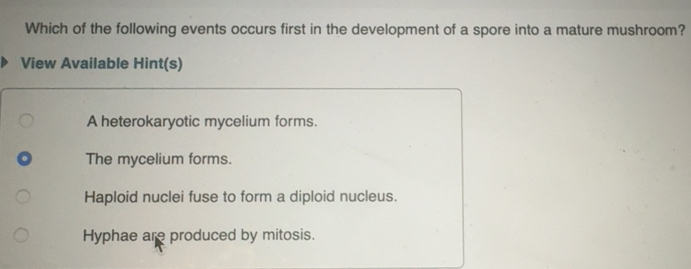 Solved: Which of the following events occurs first in the development ...