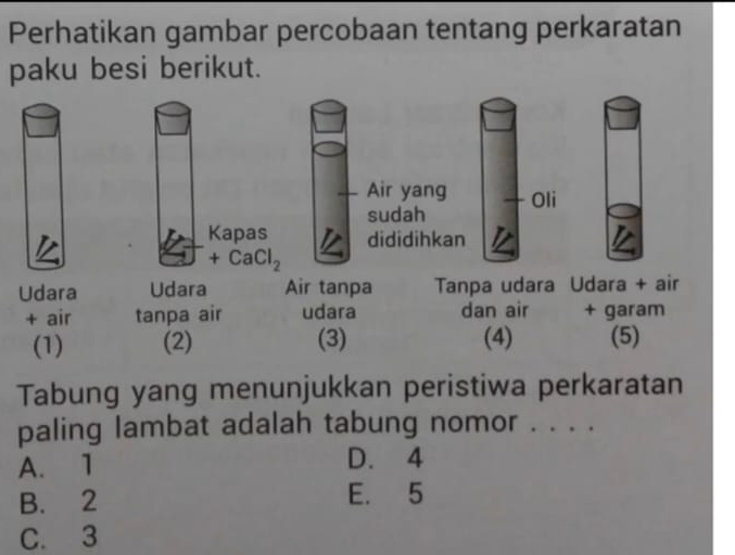 Telah dijawab:Perhatikan gambar percobaan tentang perkaratan paku besi ...