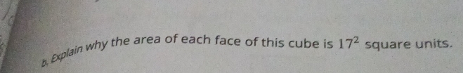 Solved: b, Explain why the area of each face of this cube is 17^2 ...