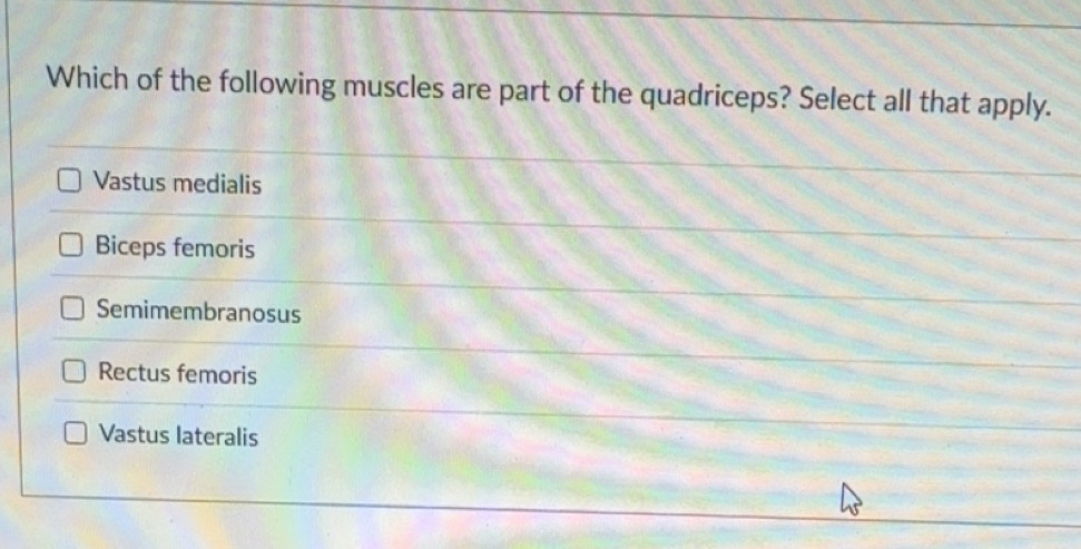 Solved: Which of the following muscles are part of the quadriceps ...