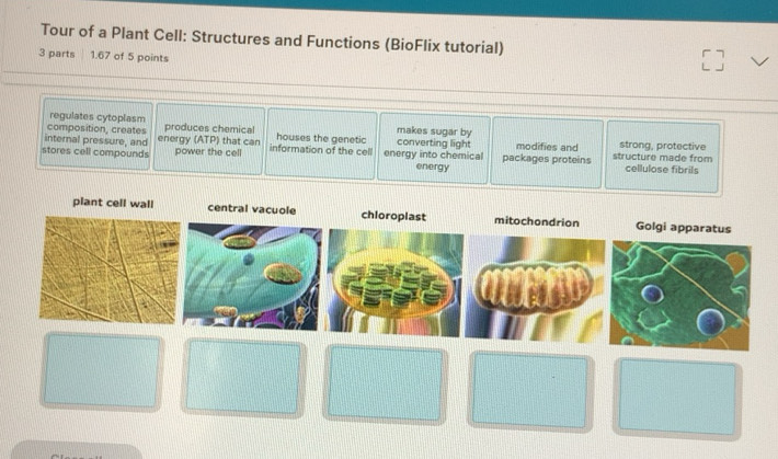 Solved: Tour of a Plant Cell: Structures and Functions (BioFlix ...