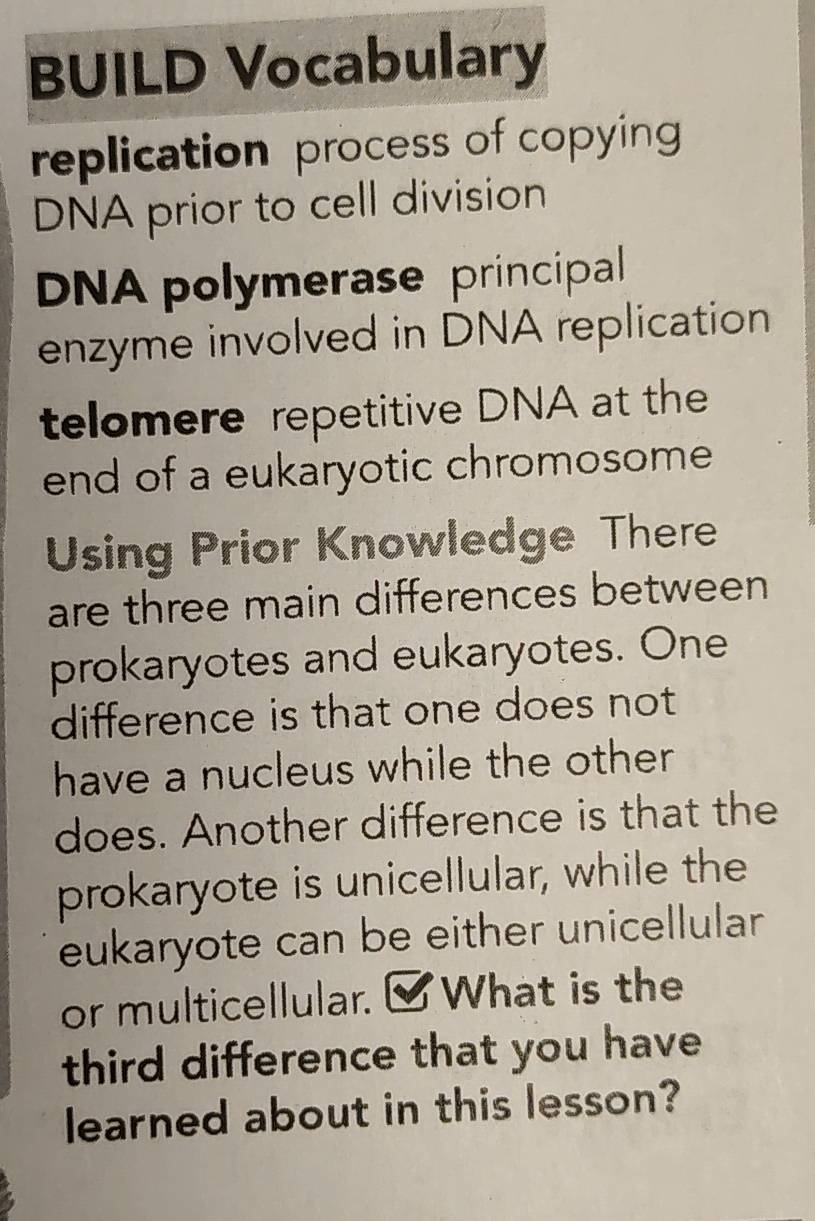 Gelöst:BUILD Vocabulary replication process of copying DNA prior to ...