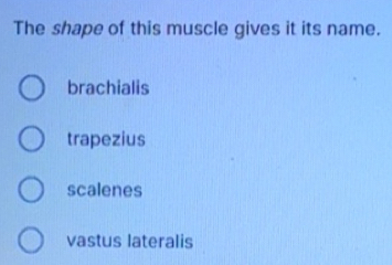 Solved: The shape of this muscle gives it its name. brachialis ...