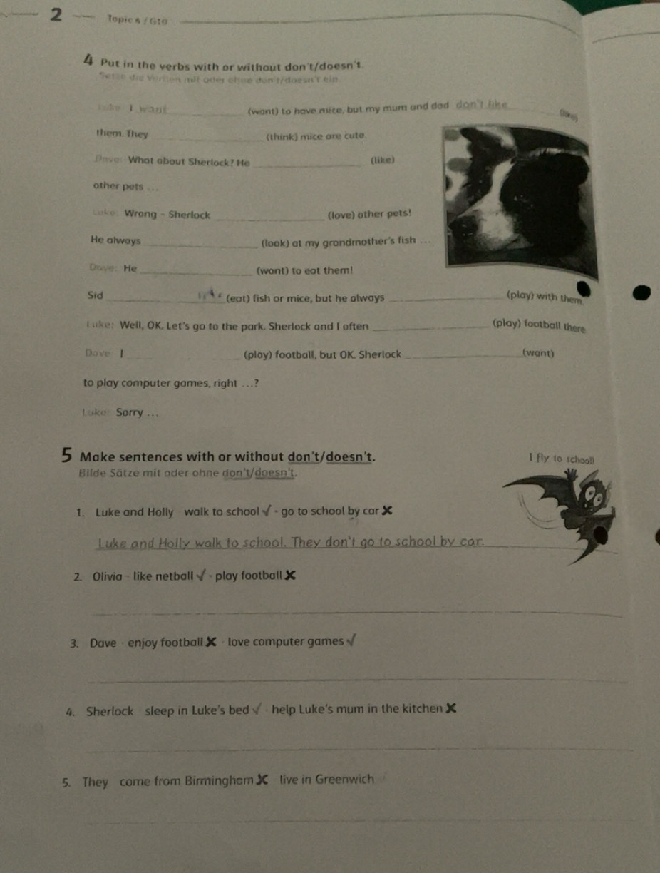 Gelöst:Topic 6 / G10_ 4 Put in the verbs with or without don't/doesn't ...