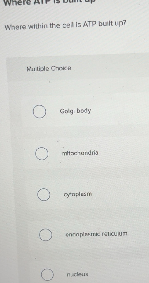 Solved: Where ATP is b Where within the cell is ATP built up? Multiple ...
