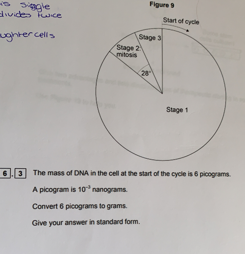 Solved: Figure 9 6.|3 | The mass of DNA in the cell at the start of the ...