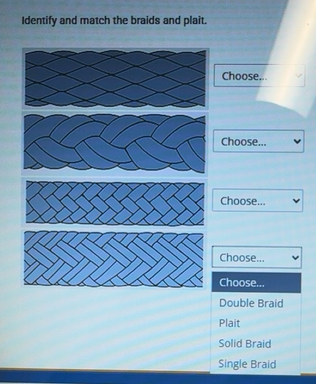 Solved: Identify and match the braids and plait. Choose... Choose ...