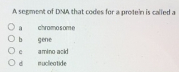 Solved: A segment of DNA that codes for a protein is called a a ...