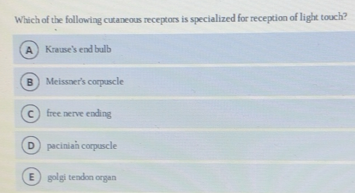 Solved: Which of the following cutaneous receptors is specialized for ...