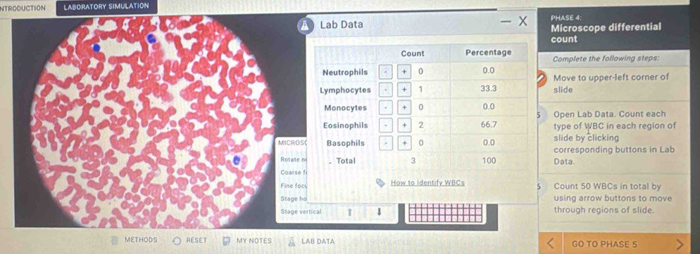 Solved: NTRODUCTION LABORATORY SIMULATION PHASE 4; Lab Data - x Microscope differential count ...