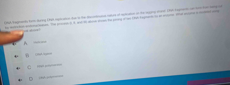Solved: DNA fragments form during DNA replication due to the ...