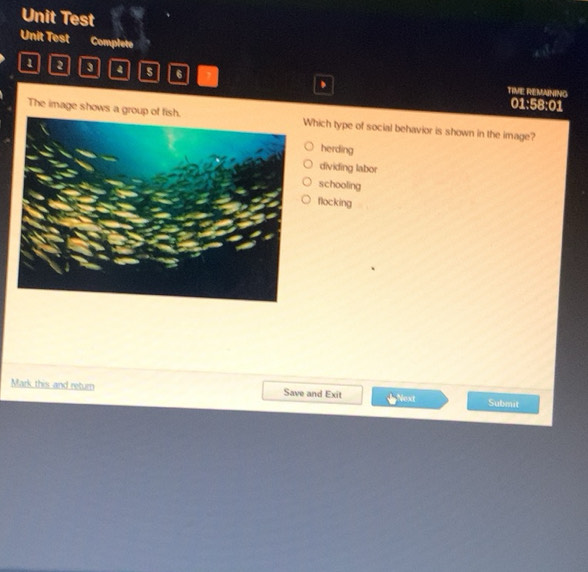 Solved: Unit Test Unit Test Complete 1 2 3 4 s 6 TIVE REMAINING 01:58: ...