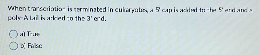 Solved: When transcription is terminated in eukaryotes, a 5'cap is ...