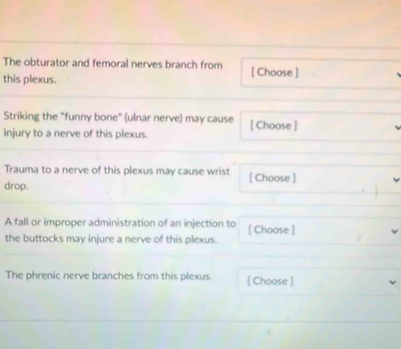 Solved: The obturator and femoral nerves branch from [ Choose ] this ...