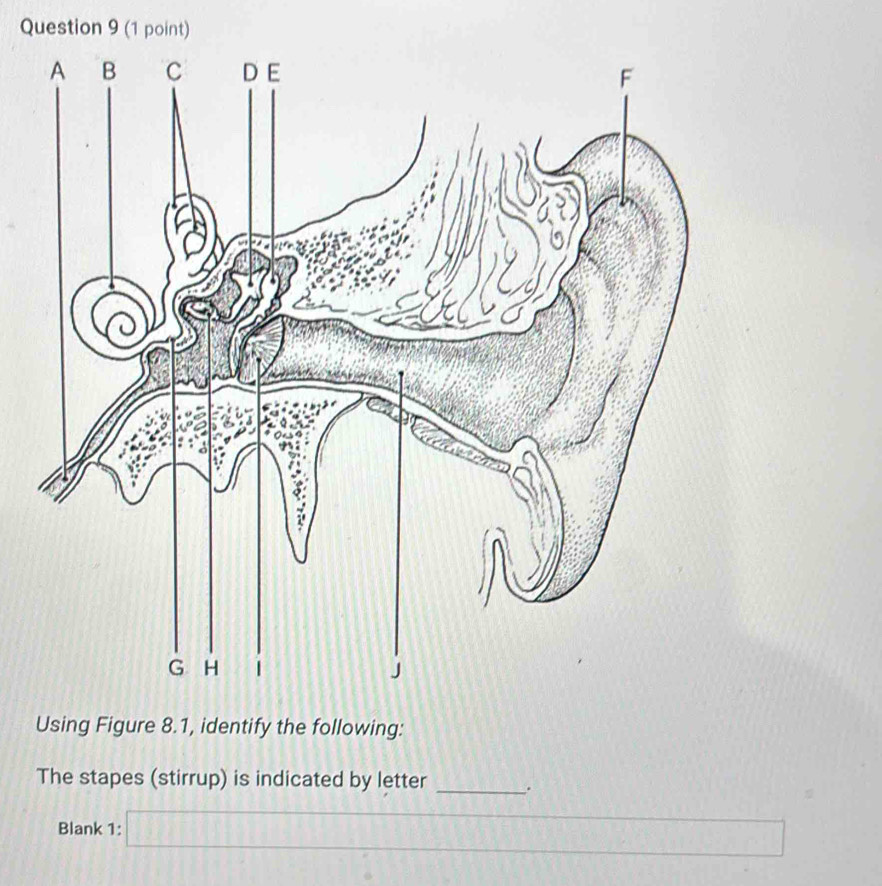 Solved: Using Figure 8.1, identify the following: The stapes (stirrup ...