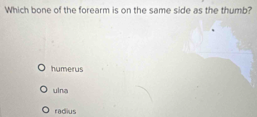 Solved: Which bone of the forearm is on the same side as the thumb? humerus ulna radius [Biology]