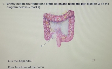 Solved: Briefly outline four functions of the colon and name the part ...