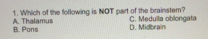 Solved: Which of the following is NOT part of the brainstem? A ...