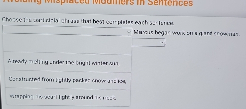 Solved: Misplaced Moumers in Sentences Choose the participial ...