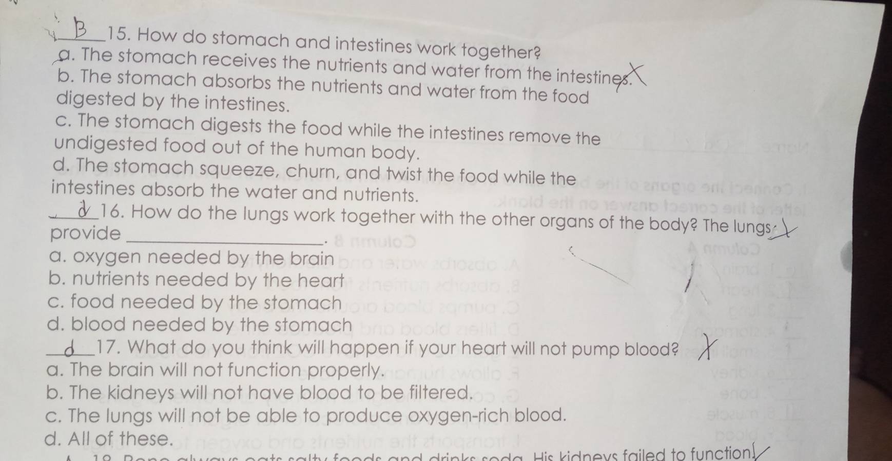 Solved: How do stomach and intestines work together? a. The stomach ...