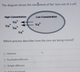 Solved: The diagram shows the movement of Na^+ ions out of a cell Which ...