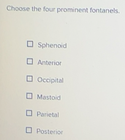 Solved: Choose the four prominent fontanels. Sphenoid Anterior ...