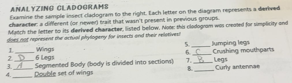 Solved: ANALYZING CLADOGRAMS Examine the sample insect cladogram to the ...